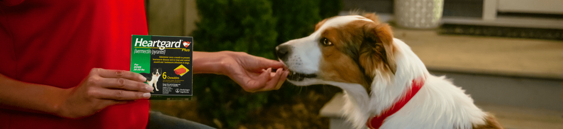 Product Comparison | Compare Heartworm Protection for Dogs | HEARTGARD ...
